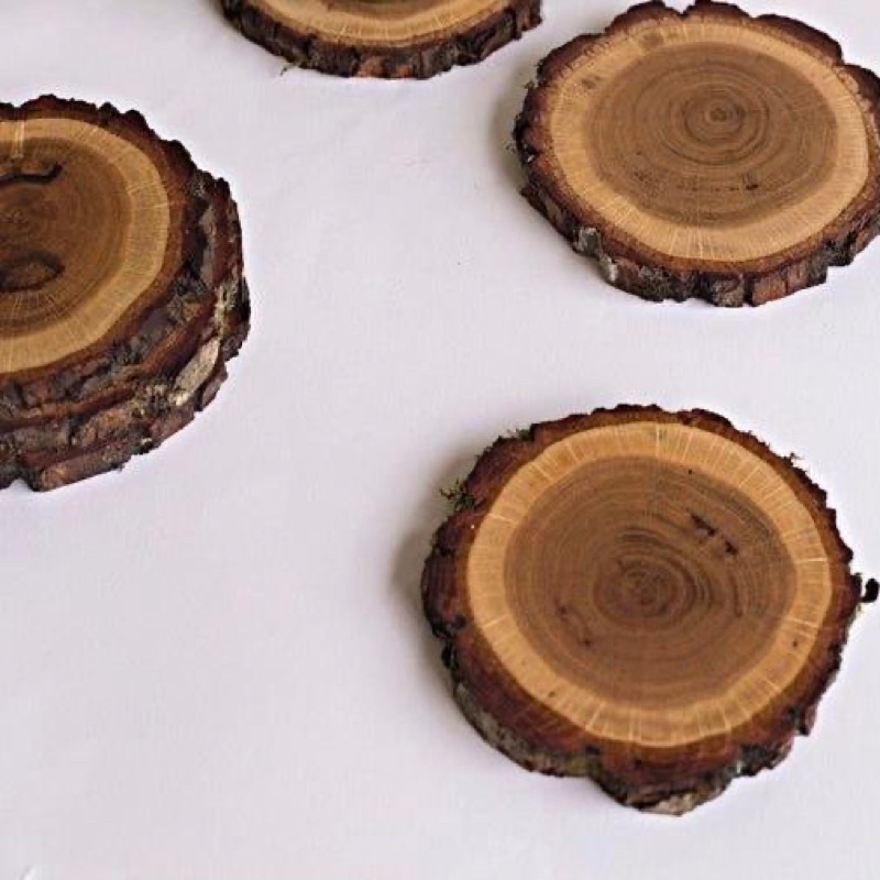 Jual Wooden coaster / Wood slice / Wooden project potongan kayu alas ...