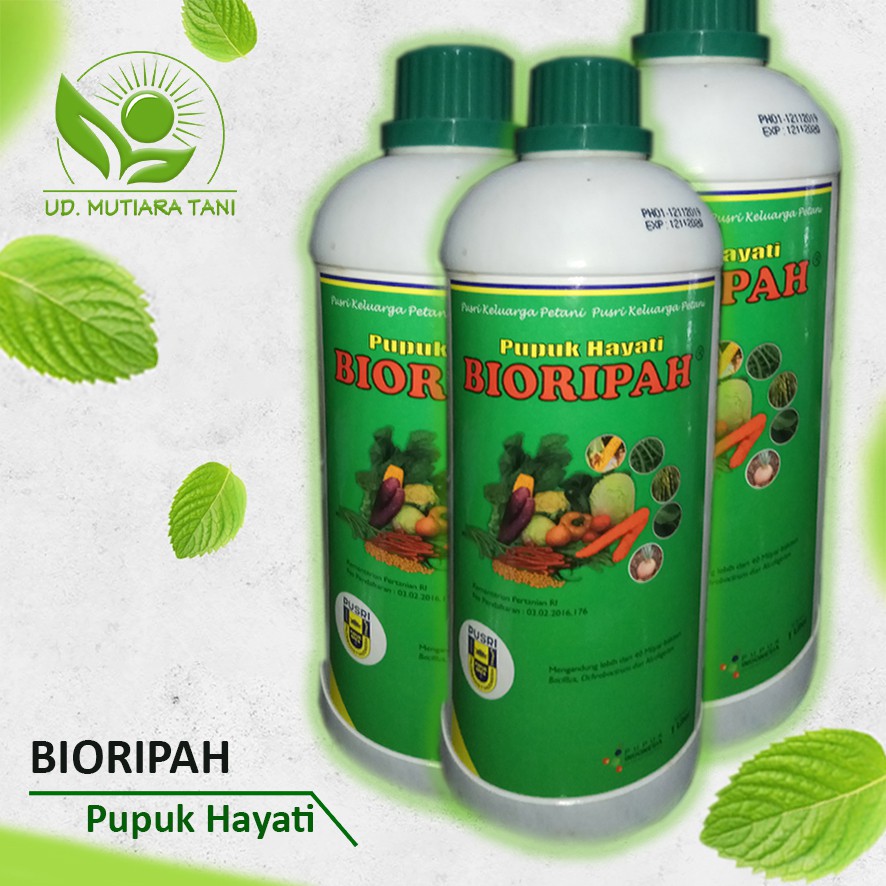 Jual Pupuk Hayati Bioripah | Shopee Indonesia