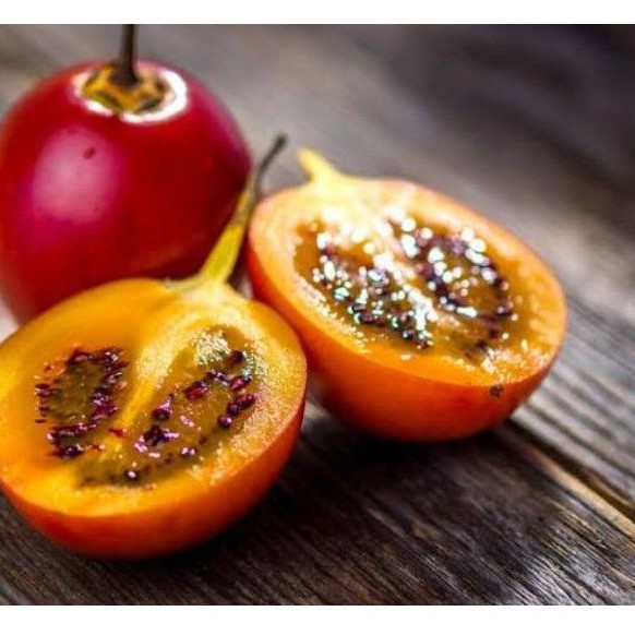 Jual Terong Belanda 1kg / Tamarillo / Terong Belanda Ungu | Shopee ...