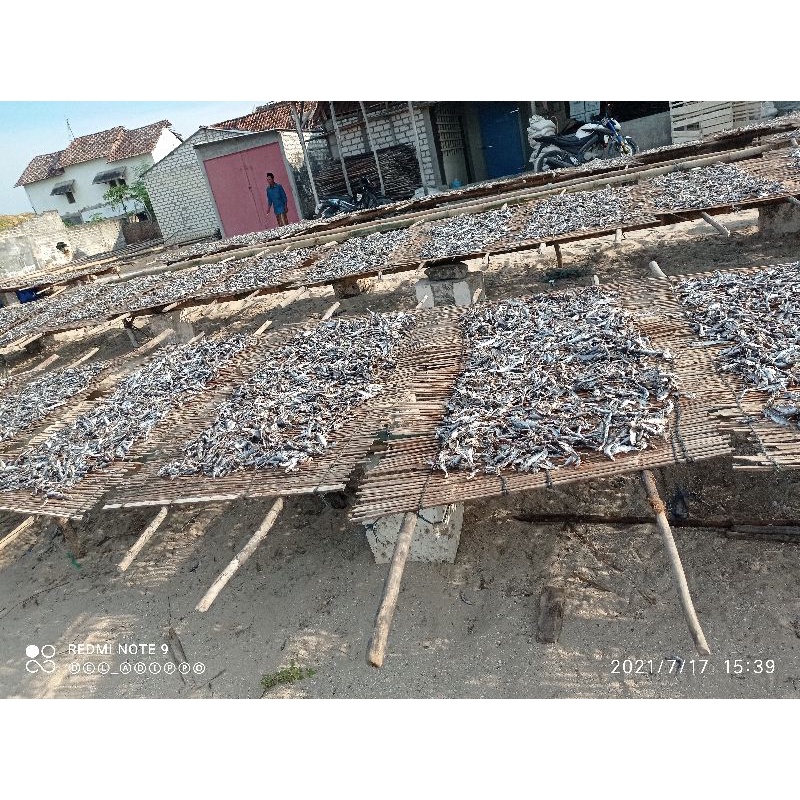 Jual gereh rincik | Shopee Indonesia