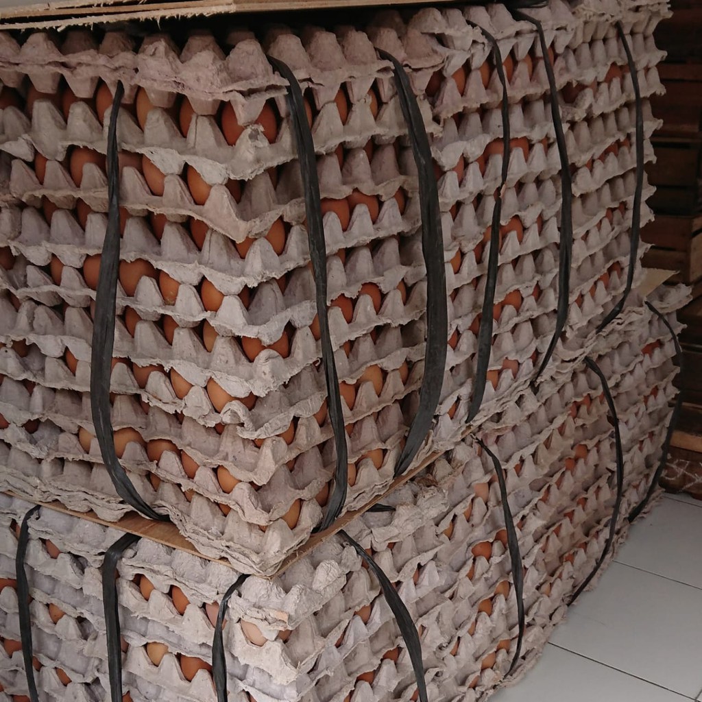 Jual Telur Ayam Negeri 1 Ikat @15kg | Shopee Indonesia