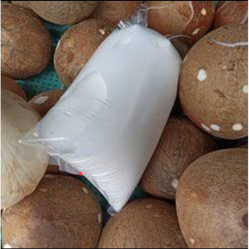 Jual Satu Butir/Buah Kelapa Santan Segar Muda/Sedang/Tua | Shopee Indonesia