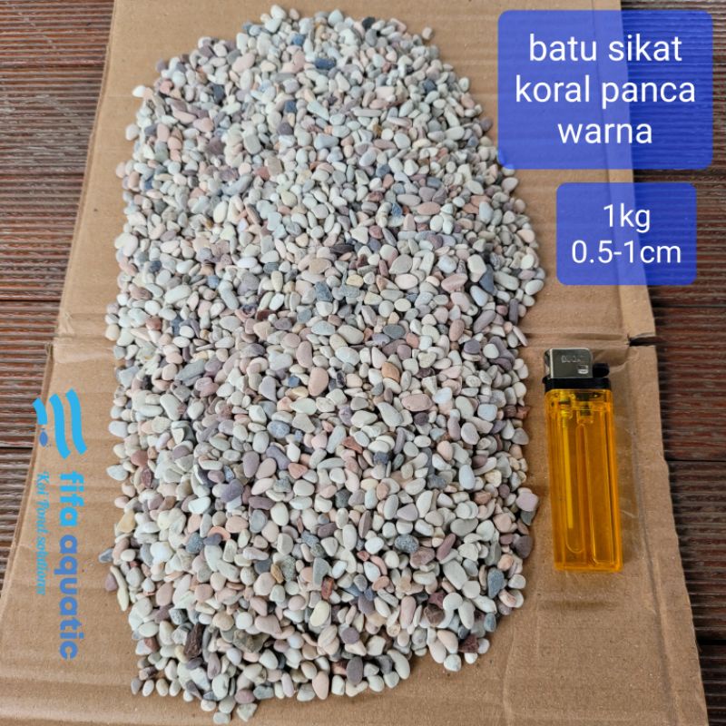 Jual Batu tabur lantai / batu taman / panca warna kecil | Shopee Indonesia