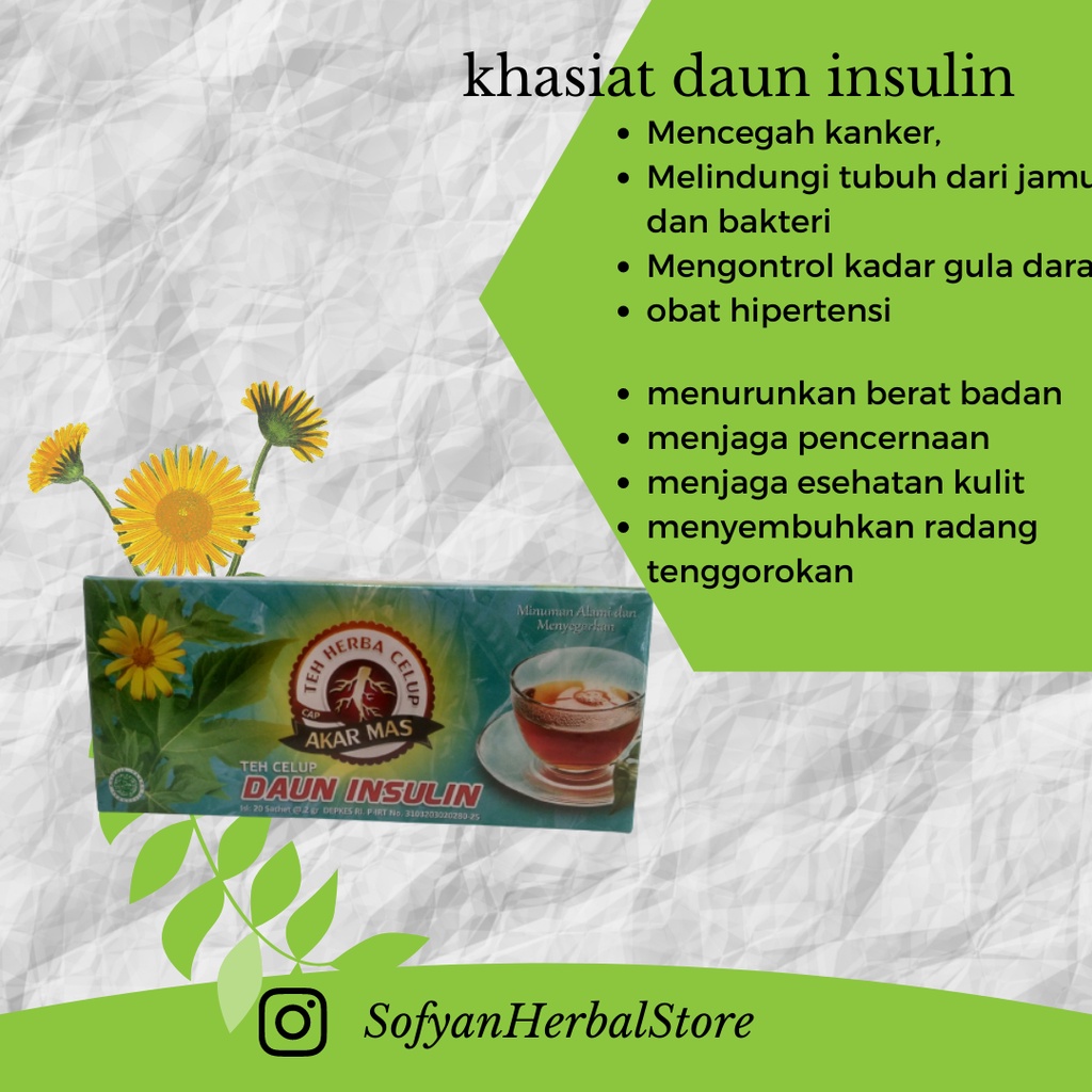 Jual Teh Celup daun insulin (Cap Akar Mas ) isi 20 sachet | Shopee ...
