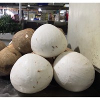 Jual kelapa parut 1 butir kelapa | Shopee Indonesia