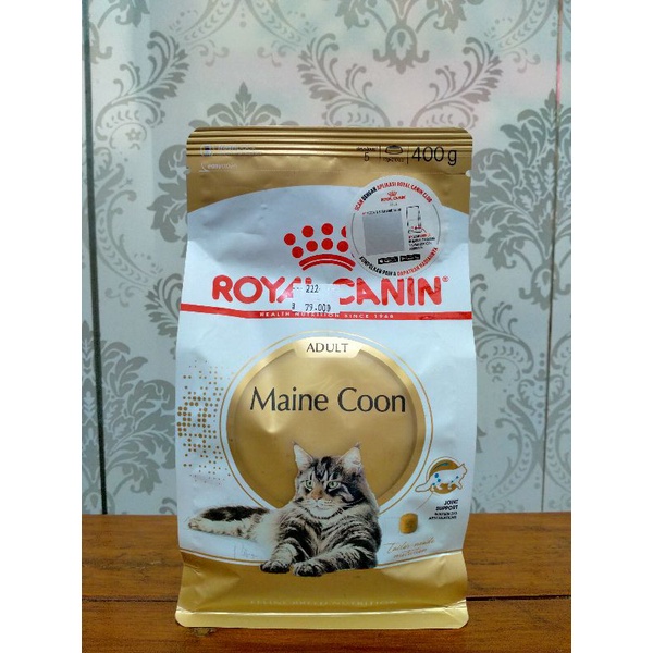 Jual RC Adult Maine Coon | Shopee Indonesia