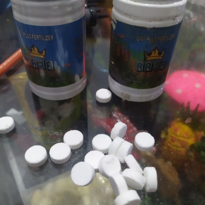 Jual Tablet CO2 aquascape Aquarium eceran 1 tablet | Shopee Indonesia