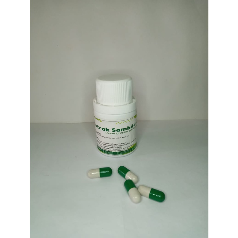Jual Extrak Sambiloto Andrographis Paniculata Shopee Indonesia