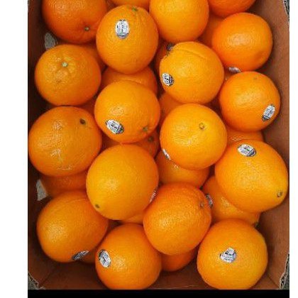 Jual jeruk sunkist Navel USA 1 kg | Shopee Indonesia