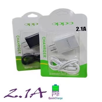 Jual PHPPPH Oppo Vivo Fast Charger with Cable USB Data Cable Micro USB ...