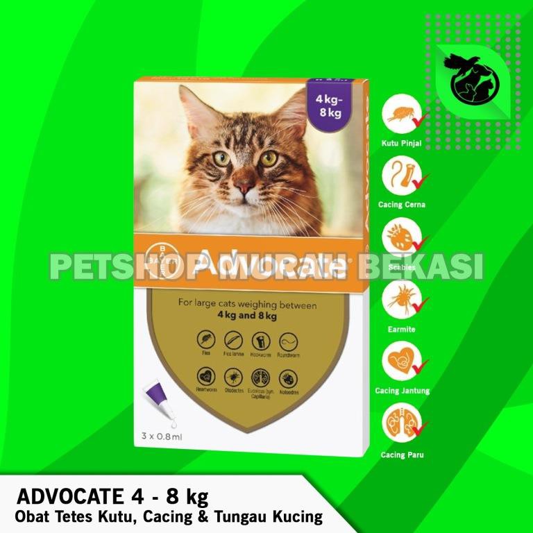 Jual Obat Tetes Kutu Cacing Tungau Flea Scabies Kucing Advocate 4 – 8 ...