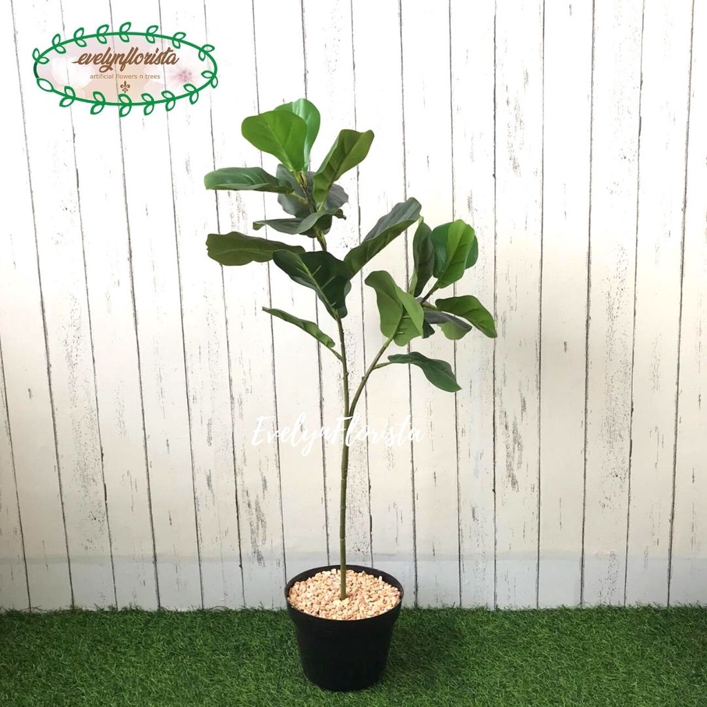 Jual Pohon Daun Ketapang T80 Latex Artificial Tanaman Imitasi Pot Dasar ...