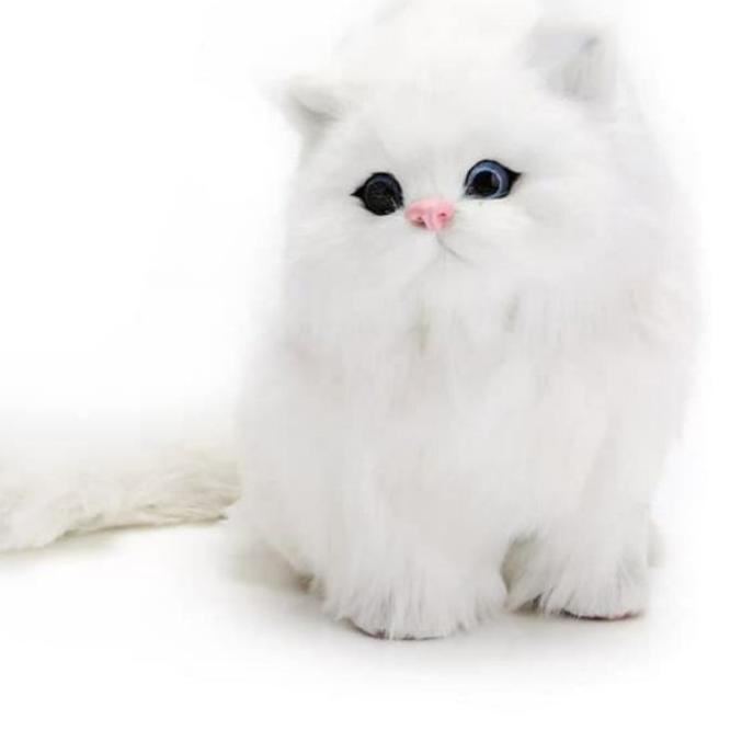 Jual Boneka Kucing Besar Simulasi bisa bunyi meong seperti hidup ...