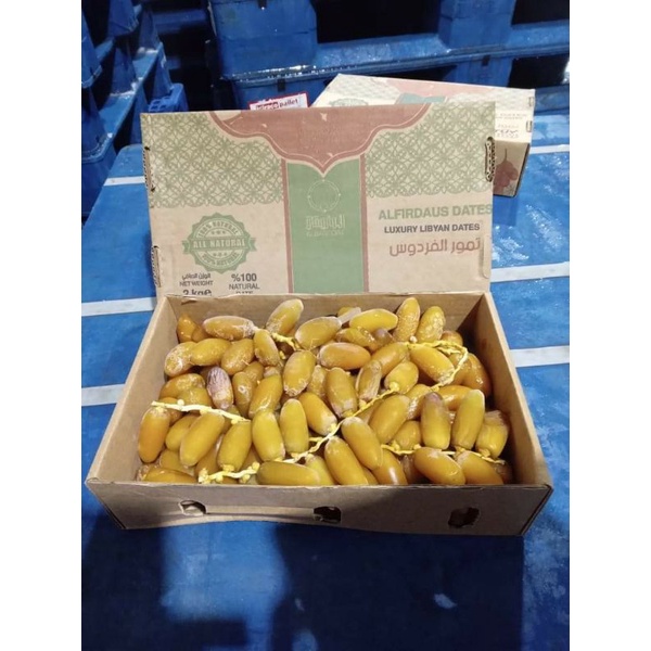 Jual Kurma muda al firdaus / ruthab libya al firdaus / ruthob alfirdaus ...