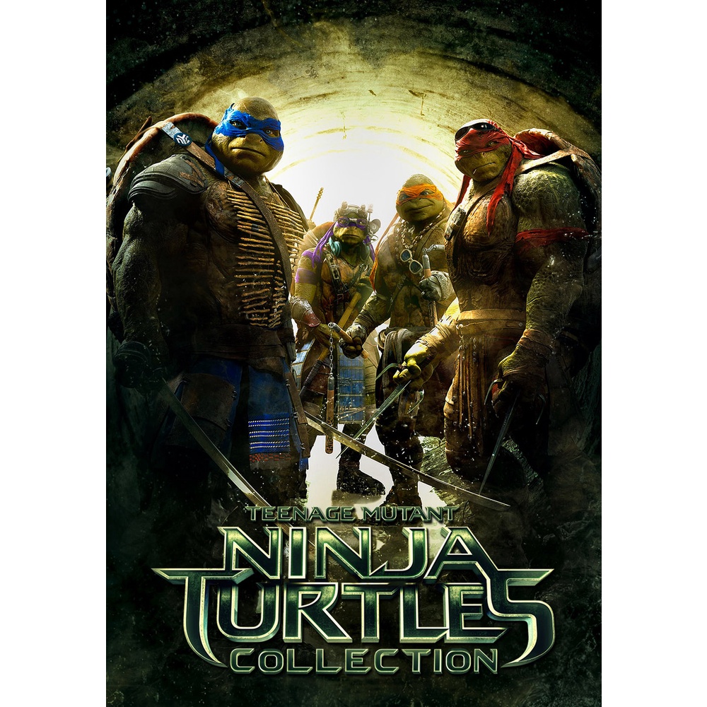 Jual Teenage Mutant Ninja Turtles (Remake) Collection | Shopee Indonesia