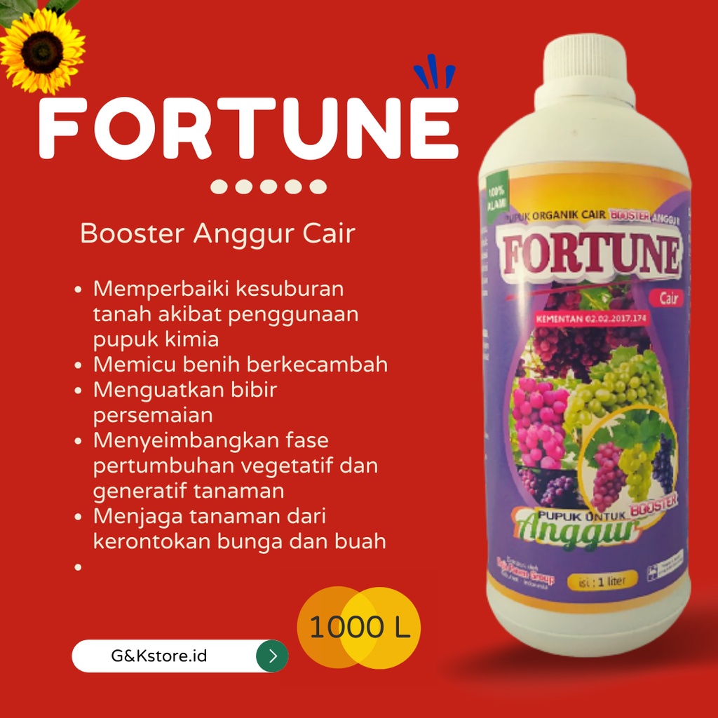 Jual Pupuk Boster anggur cepat berbuah, Pupuk Anggur Masa Pertumbuhan ...