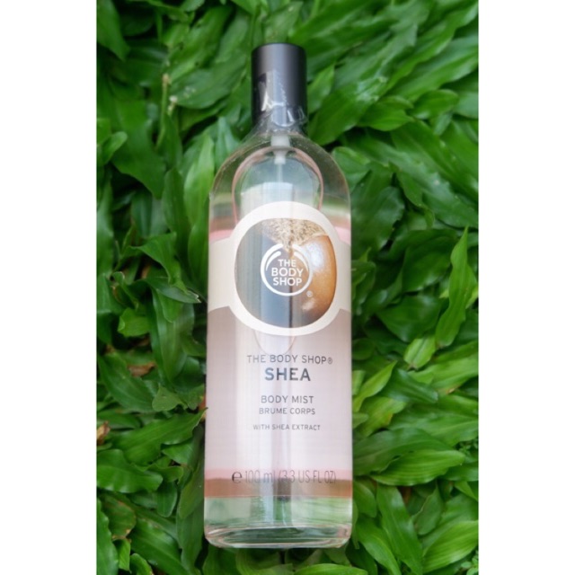 Jual The Body Shop Shea Body Mist | Shopee Indonesia