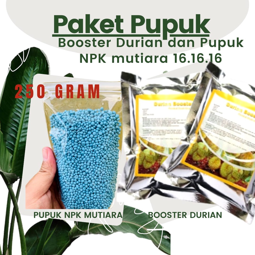 Jual PAKET LENGKAP Pupuk Booster Pelebat Buah Pohon Durian Plus Pupuk NPK Mutiara 16.16.16 250 ...