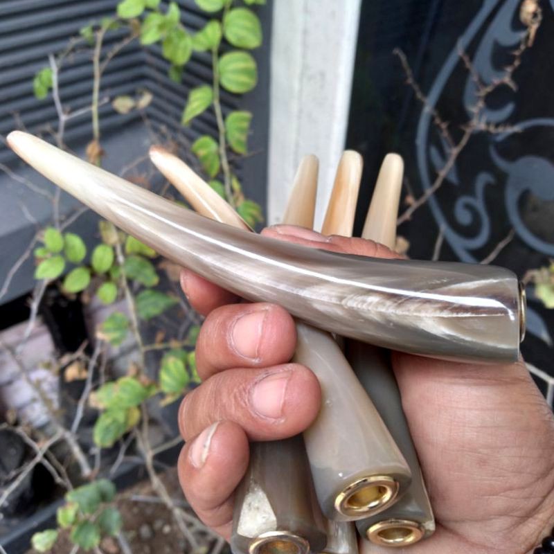 Jual Pipa Once Tanduk Kerbau Bule Asli | Shopee Indonesia