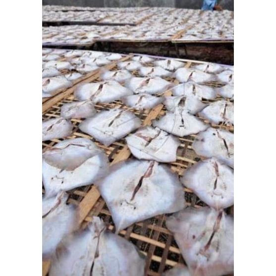 Jual ikan asin pari 500g (ikan asin) | Shopee Indonesia