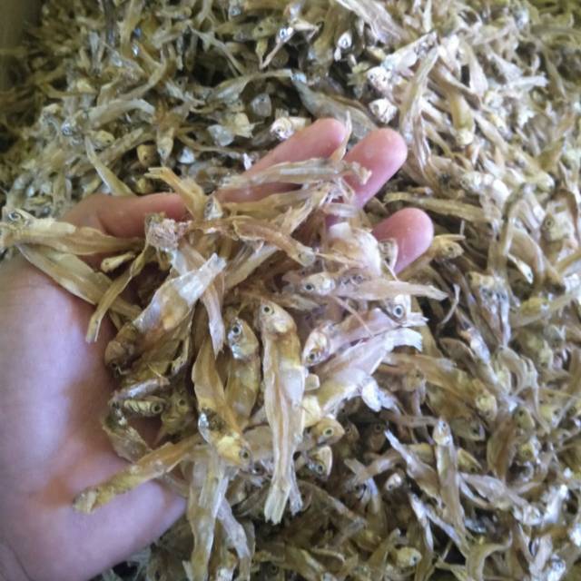 Jual Teri bunga | Shopee Indonesia