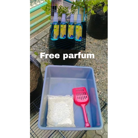 Jual BOX PASIR MURAH PAKET ( FREE PARFUM ) | Shopee Indonesia