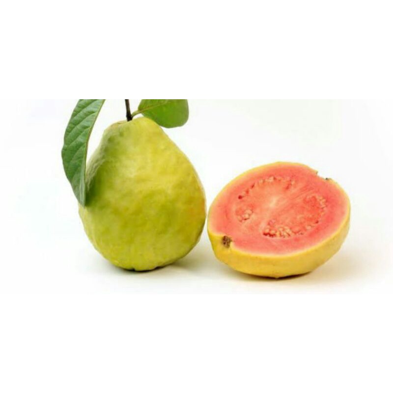 Jual Jambu Biji Merah (500 Gram) | Shopee Indonesia