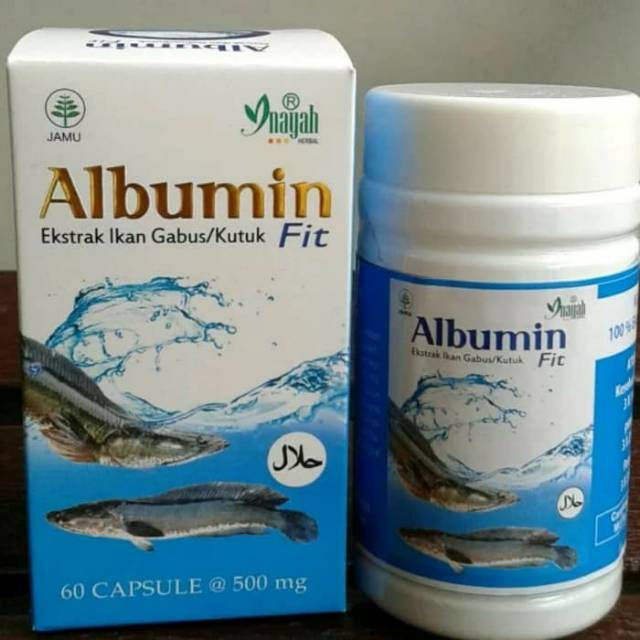 Jual Kapsul Albumin Ikan Gabus Obat Segala Macam Penyakit Inayah Fit ...