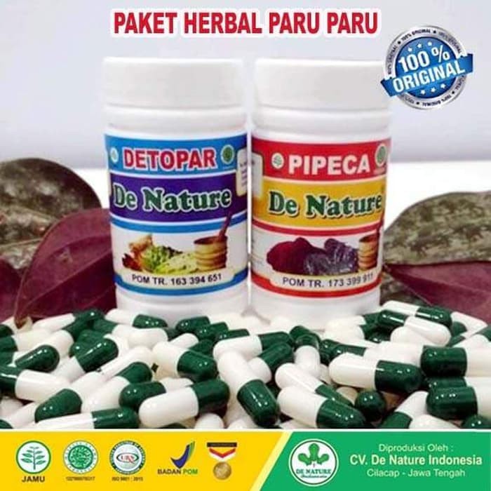 Jual Obat Radang Paru-Paru Bronkitis Brontitis Herbal ASLI AMPUH ...