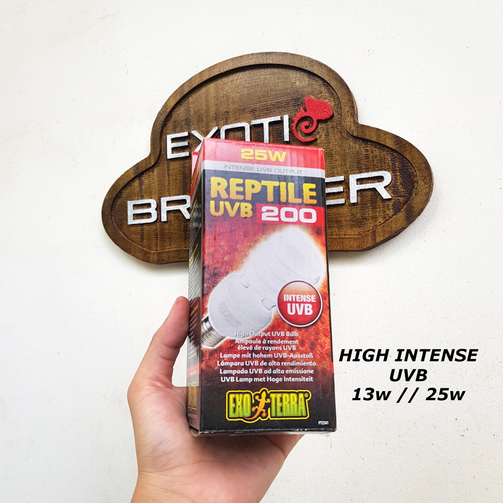 Jual Lampu UVB Exoterra 200 reptil sulcata bearded dragon uromatyx | Shopee Indonesia