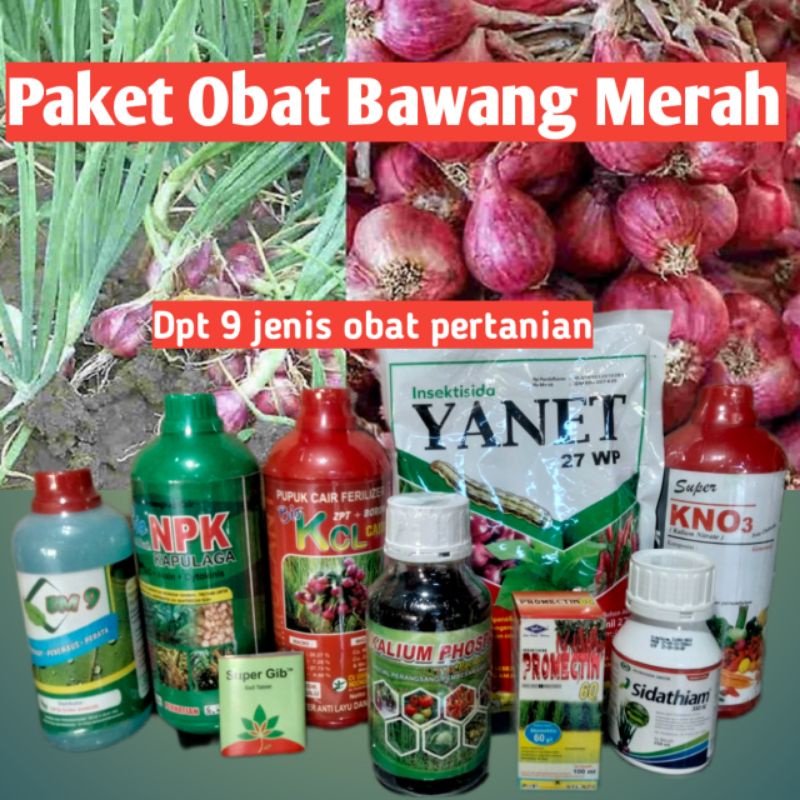 Jual Paket Obat Bawang Merah dpt 9 produk | Shopee Indonesia