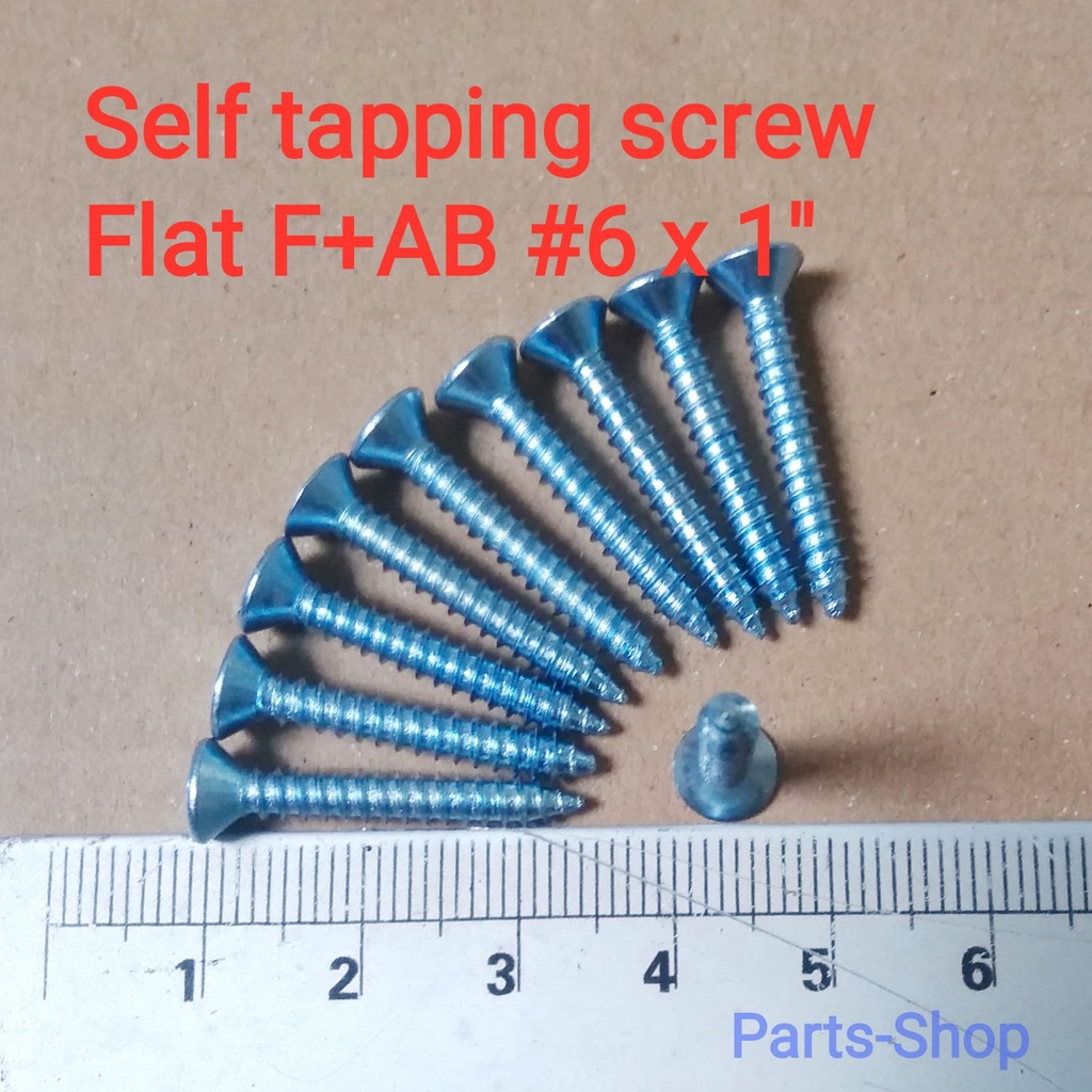 Jual 10pcs Sekrup Flat F+AB #6 x 1" Self Tapping Screw baut lancip 25mm ...