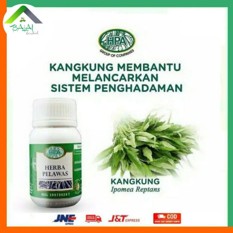 Jual HERBA PELAWAS HPA Internasional Pak Haji | Shopee Indonesia
