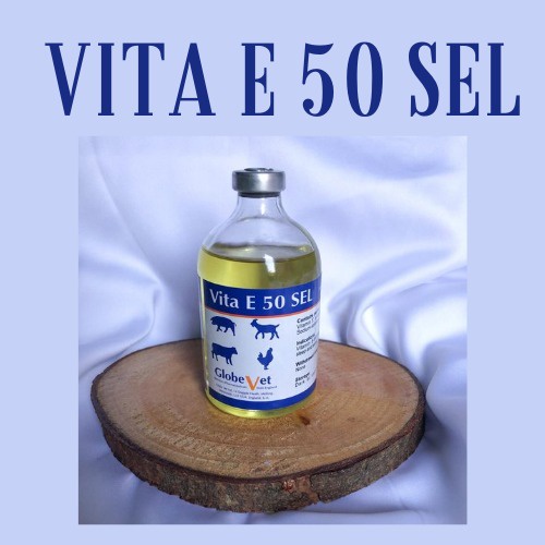 Jual BACA DESKRIPSI! OBAT INJEKSI VITA E 50 SEL ( VITAMIN E + SODIUM ...