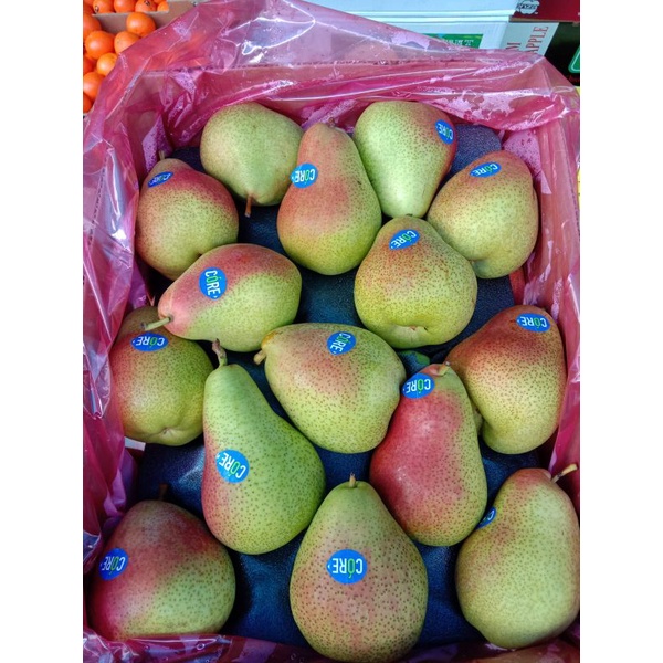 Jual pear forelle / pir forelli / pear forelli | Shopee Indonesia