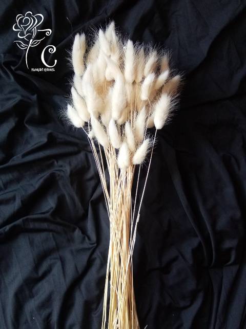 Jual 10PCS BUNGA BUNNY TAIL IMPORT | Shopee Indonesia