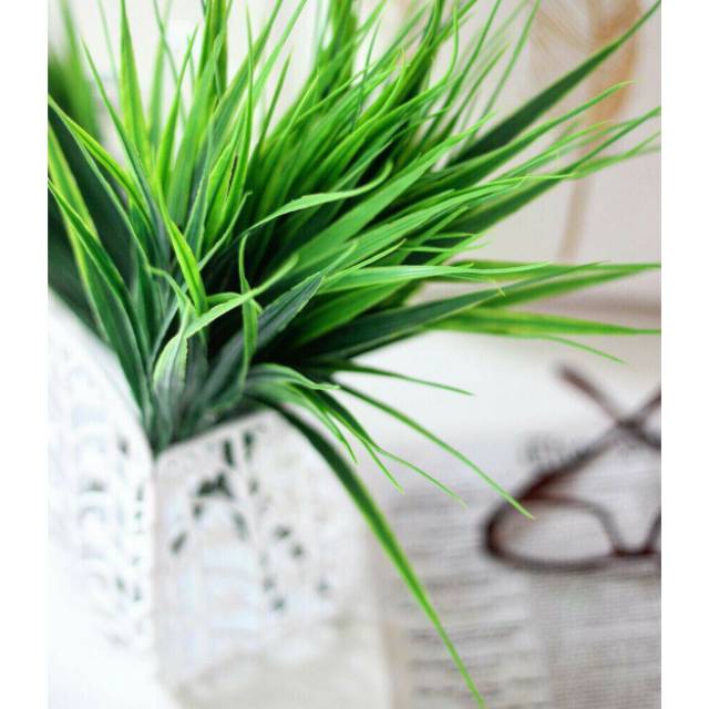 Jual RUMPUT ILALANG ( TANPA VAS ) Bunga ilalang hijau rumput gajah ...