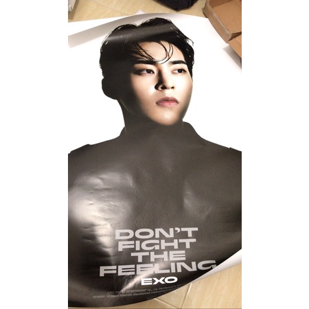 Jual Poster Xiumin Don’t Fight The Feeling (DFTF) | Shopee Indonesia