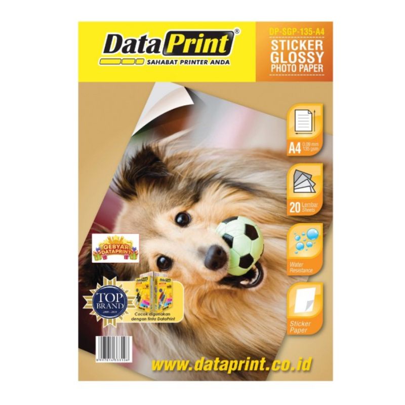 Jual DataPrint Sticker Glossy Paper 135 gsm A4 Data Print 1 Pack ...
