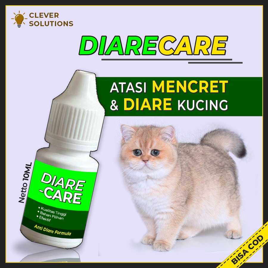 Jual DIARE-CARE Obat Diare Kucing Obat Mencret Kucing Obat Keracunan ...