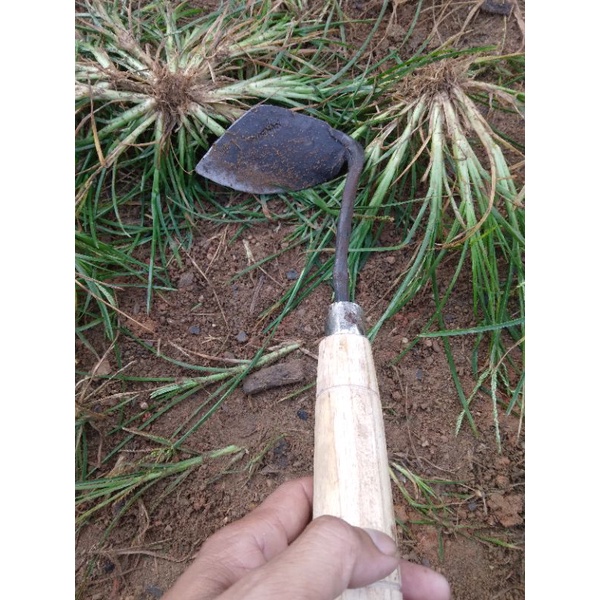 Jual Alat Pemotong Rumput Terlengkap & Harga Terbaru Mei 2026 | Shopee ...