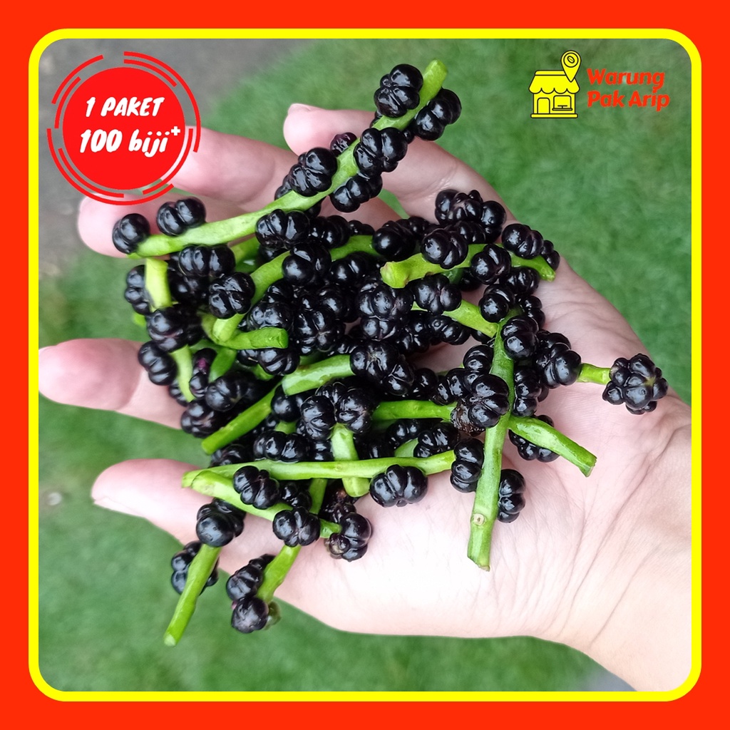 Jual Buah Angkung Ang kung Anghong Obat Stroke Penyumbatan Asam Urat ...