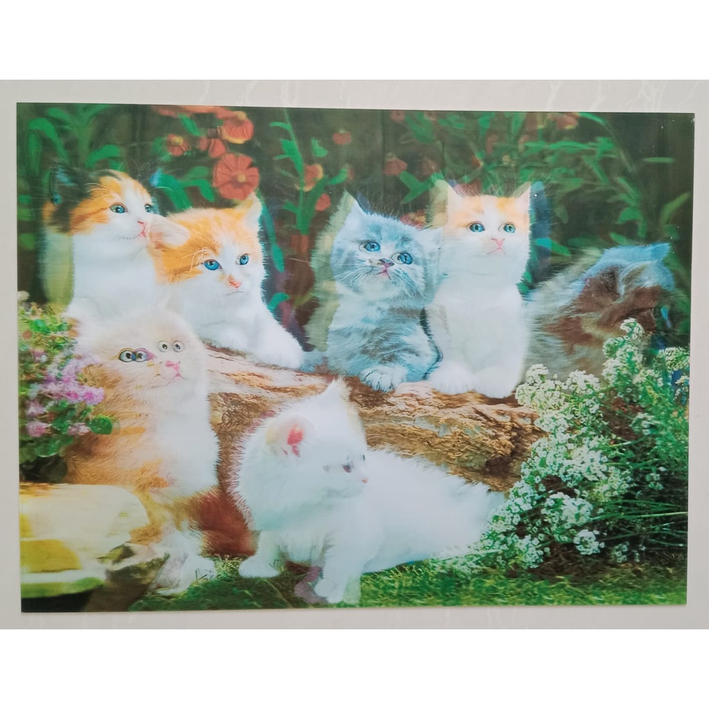 Jual Poster Gambar 3D / 3 Dimensi Kucing 30x40cm | Shopee Indonesia