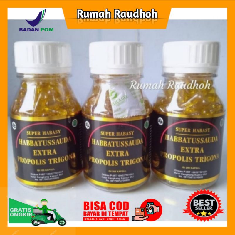 Jual SUPER HABASY / HABBATUSAUDA PROPOLIS EXTRA TRIGONA / ISI 200 ...