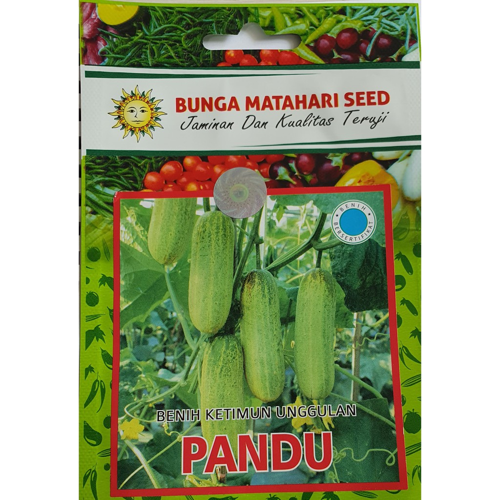 Jual Benih Ketimun Pandu (Cap Bunga Matahari) 200 butir (kemasan pabrik ...