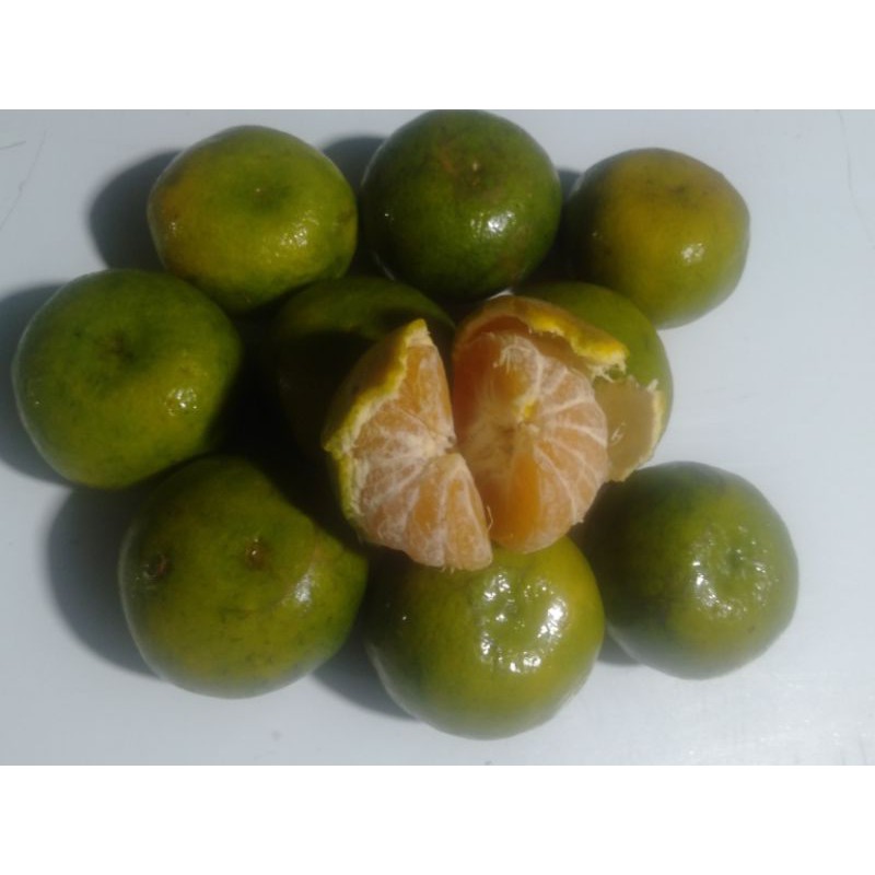Jual Jeruk Kintamani Bali grade 12 sd 13 per 1 kg | Shopee Indonesia