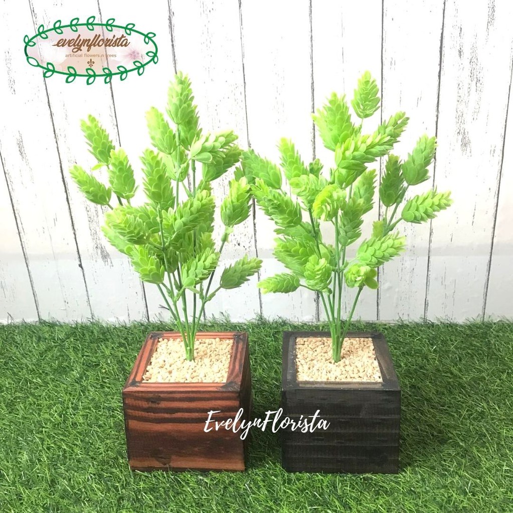 Jual Tanaman Artificial Daun Pinus Pot Kotak Motif Kayu Pohon Hias ...