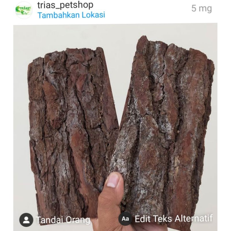 Jual Kulit kayu pinus/untuk kandang reptil/untuk kandang tarantula ...