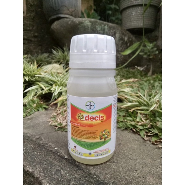 Jual Insektisida Decis 25 EC kemasan 250 ml | Shopee Indonesia