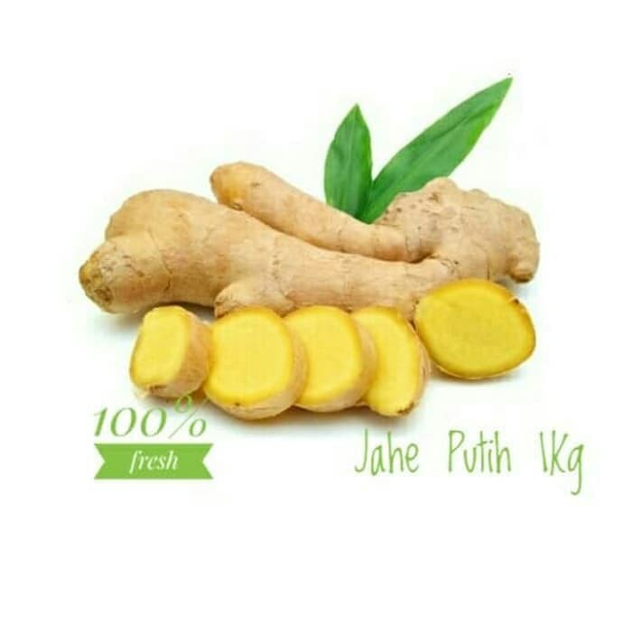 Jual JAHE PUTIH GAJAH / JAHE SEGAR 500gram / JAHE GAJAH | Shopee Indonesia Jual JAHE PUTIH GAJAH / JAHE SEGAR 500gram / JAHE GAJAH | Shopee Indonesia